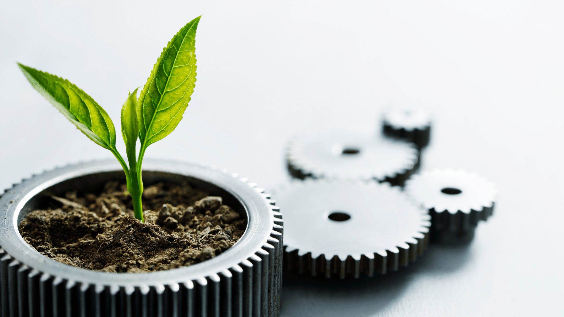 Sustainable Travel: 3 Ways How Tour Operators Can Be Green(er)